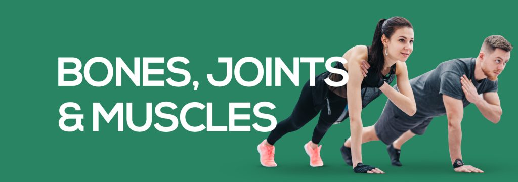 Bones, Joints & Muscles – VitaScience